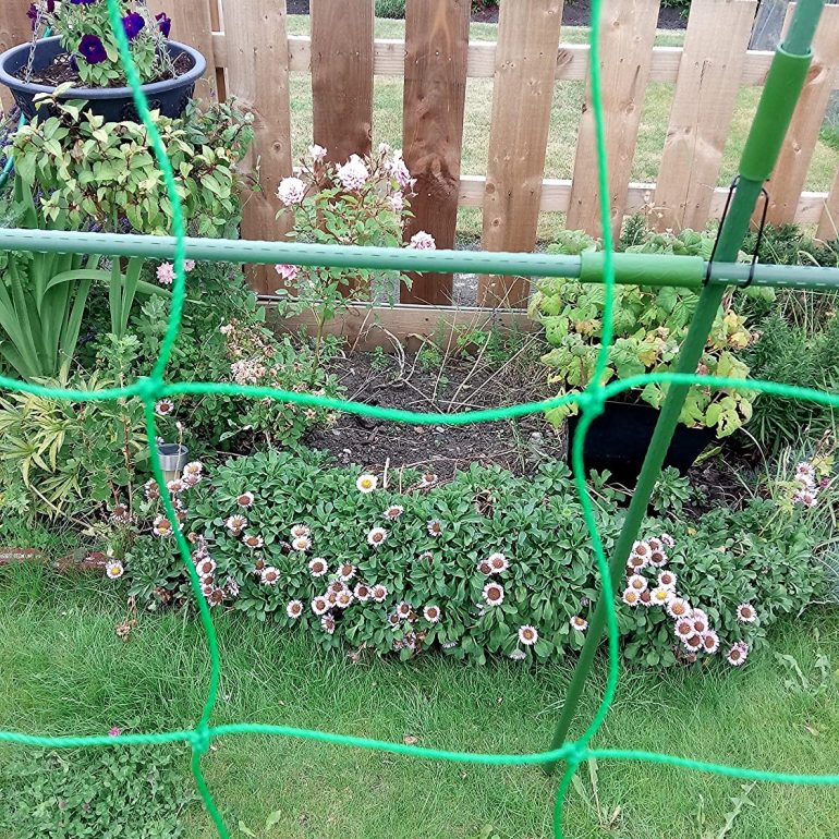 Pea Bean Netting / Fence Trellis Netting – Easynets