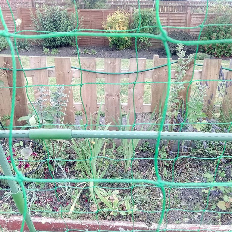 Pea Bean Netting / Fence Trellis Netting – Easynets