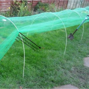 Garden Cloche Large – Easynets