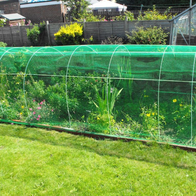 Anti Butterfly Netting 2m Width – Easynets