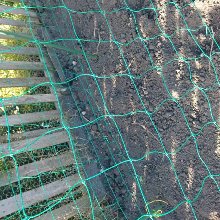 Pea Bean Netting / Fence Trellis Netting – Easynets