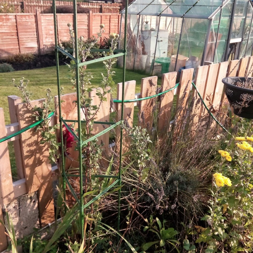 Versatile Tomato Growing Cage – Easynets