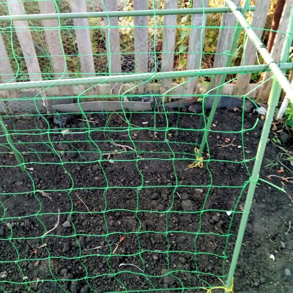 Pea Bean Support Frame – Easynets